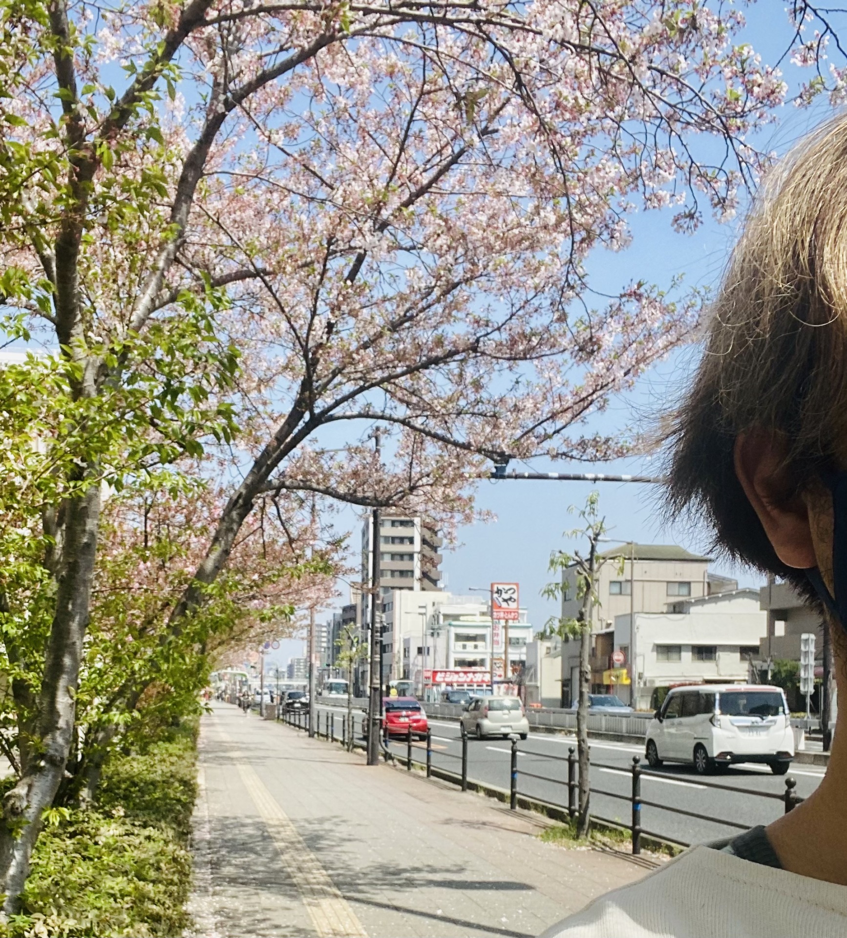 もう夏みたい♪ - 大阪市住吉区の就労継続支援B型「workwork（わくわく）」